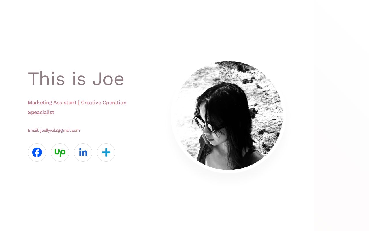 JOE'S PORTFOLIO
